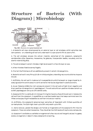 Mycoplasma - Bsc. Microbiology Notes - General Microbiology - Studocu