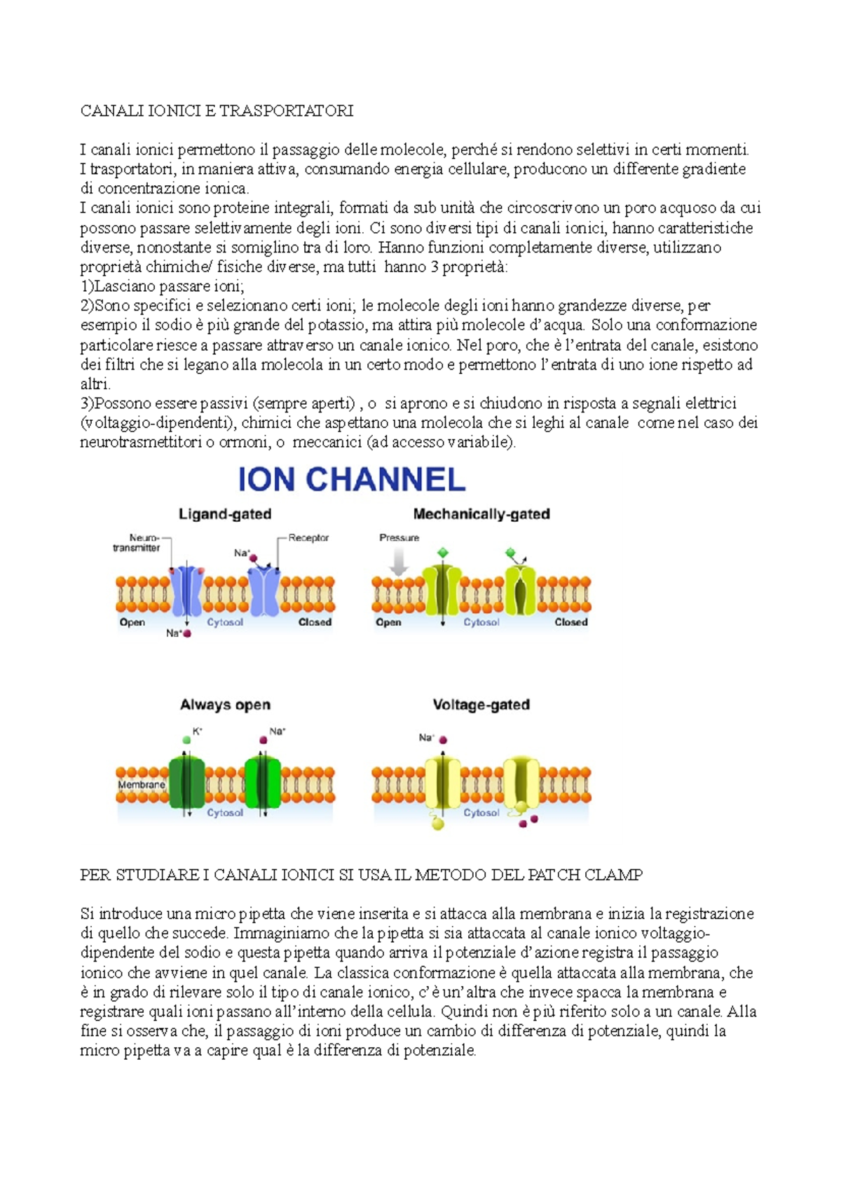 5. Canali e trasportatori ionici - CANALI IONICI E TRASPORTATORI I ...