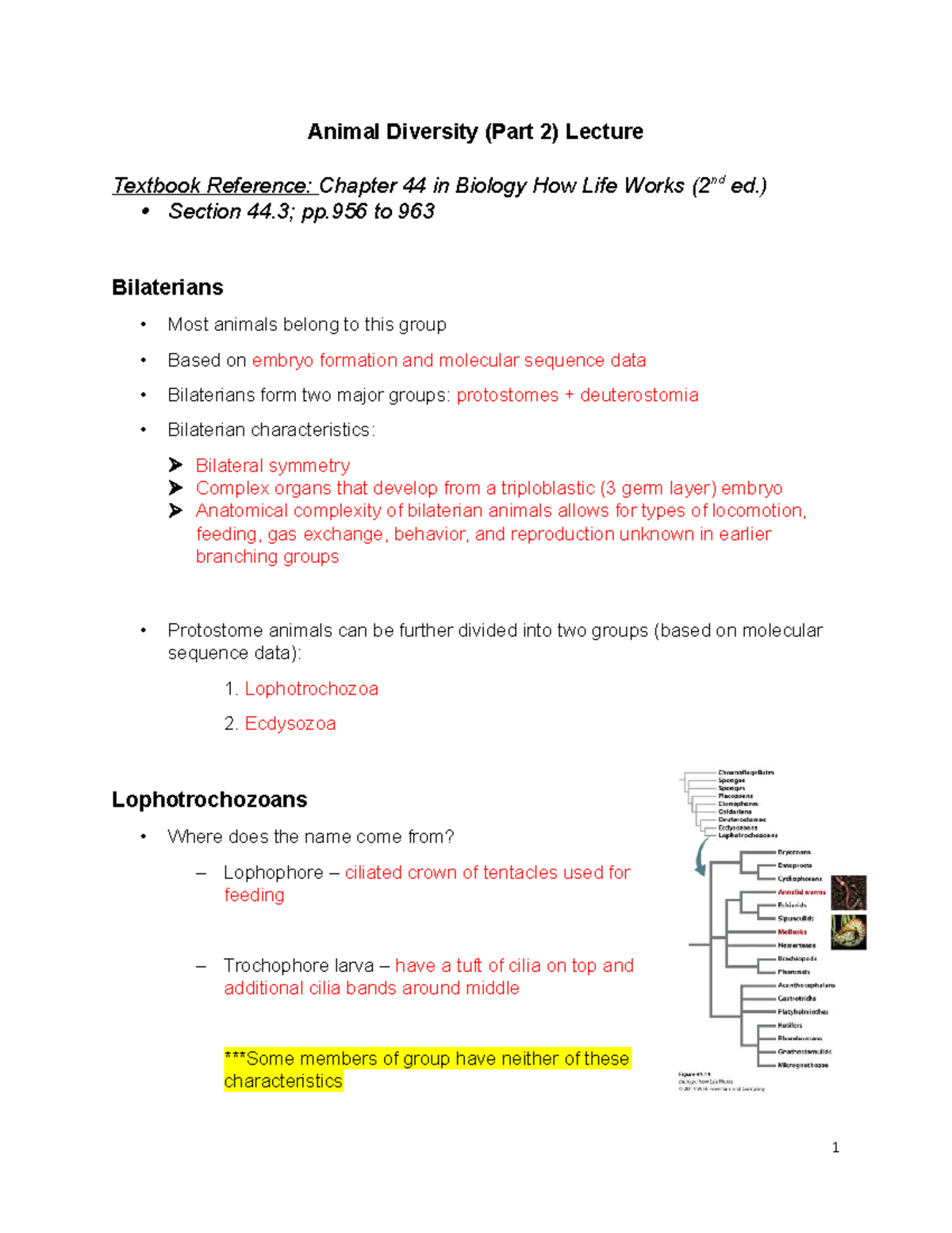 Lecture 9 - Animal Diversity (Part 2) Lecture Textbook Reference ...