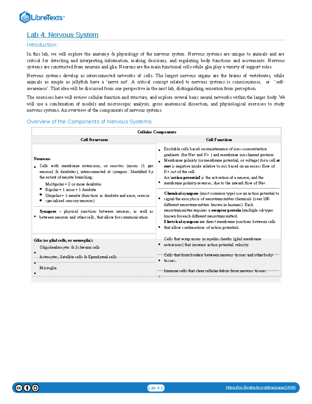 Reflex Activity - Lab - Lab 4: Nervous System Introduction: In this lab ...
