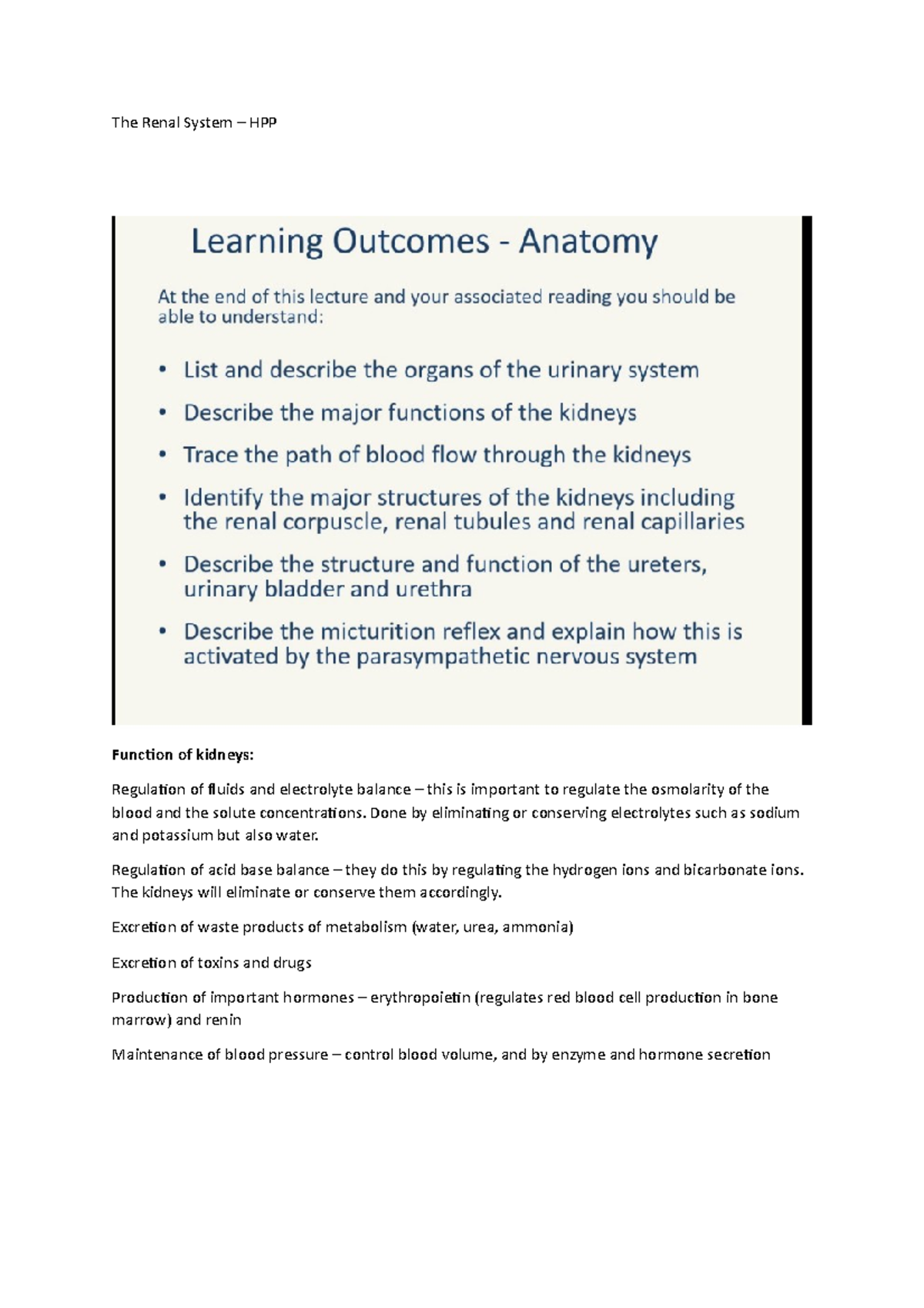 The Renal System - Lecture notes 1 - The Renal System – HPP Function of ...