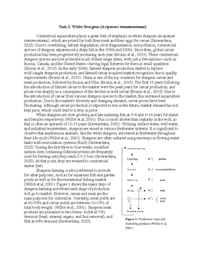 Task 1 Assignment - Task 1: Resource Collection + Formatting ANSC 3170 - Nutrition of Fish ...