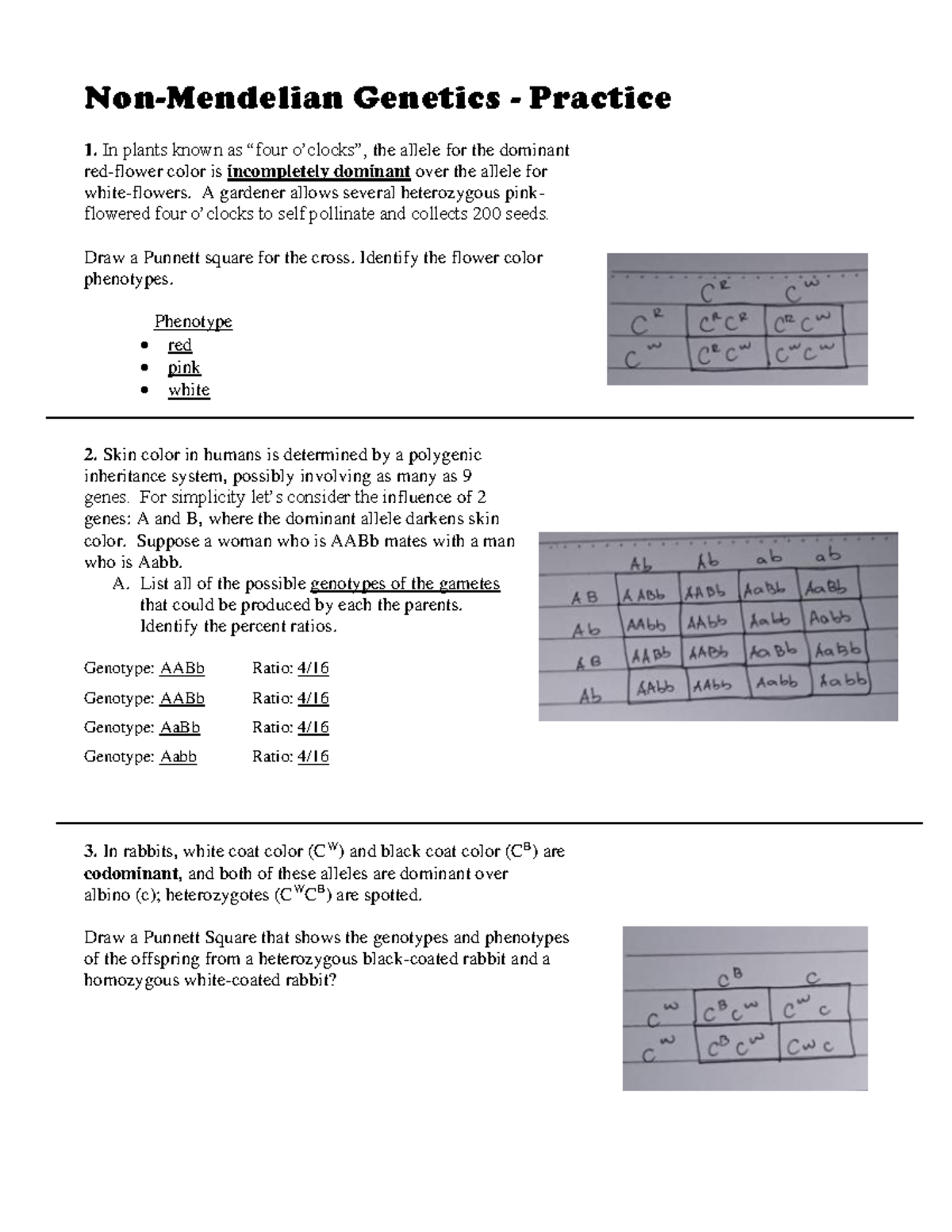 LK3-Nonmendelian-converted - Non-Mendelian Genetics - Practice 1. In ...