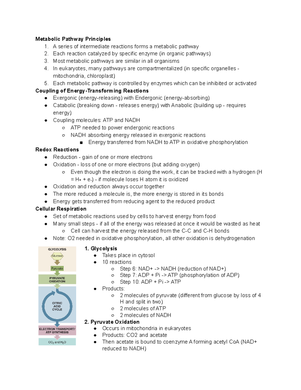 Quia Ap Chapter 8 An Introduction To Metabolism Detailed The Diagram ...