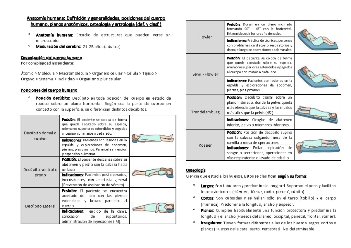 0 1. Generalidades - Anatomía humana: De昀椀nición y generalidades ...