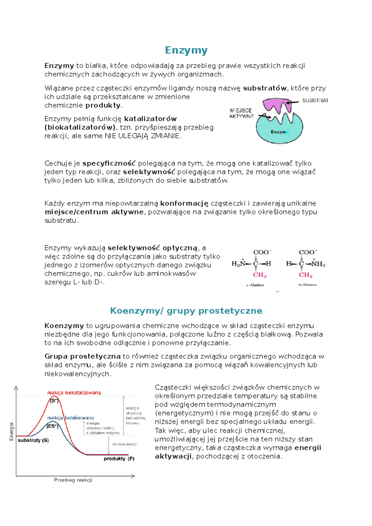 Enzymy - Notatki z wykładu - Enzymy Enzymy to białka, które odpowiadają ...