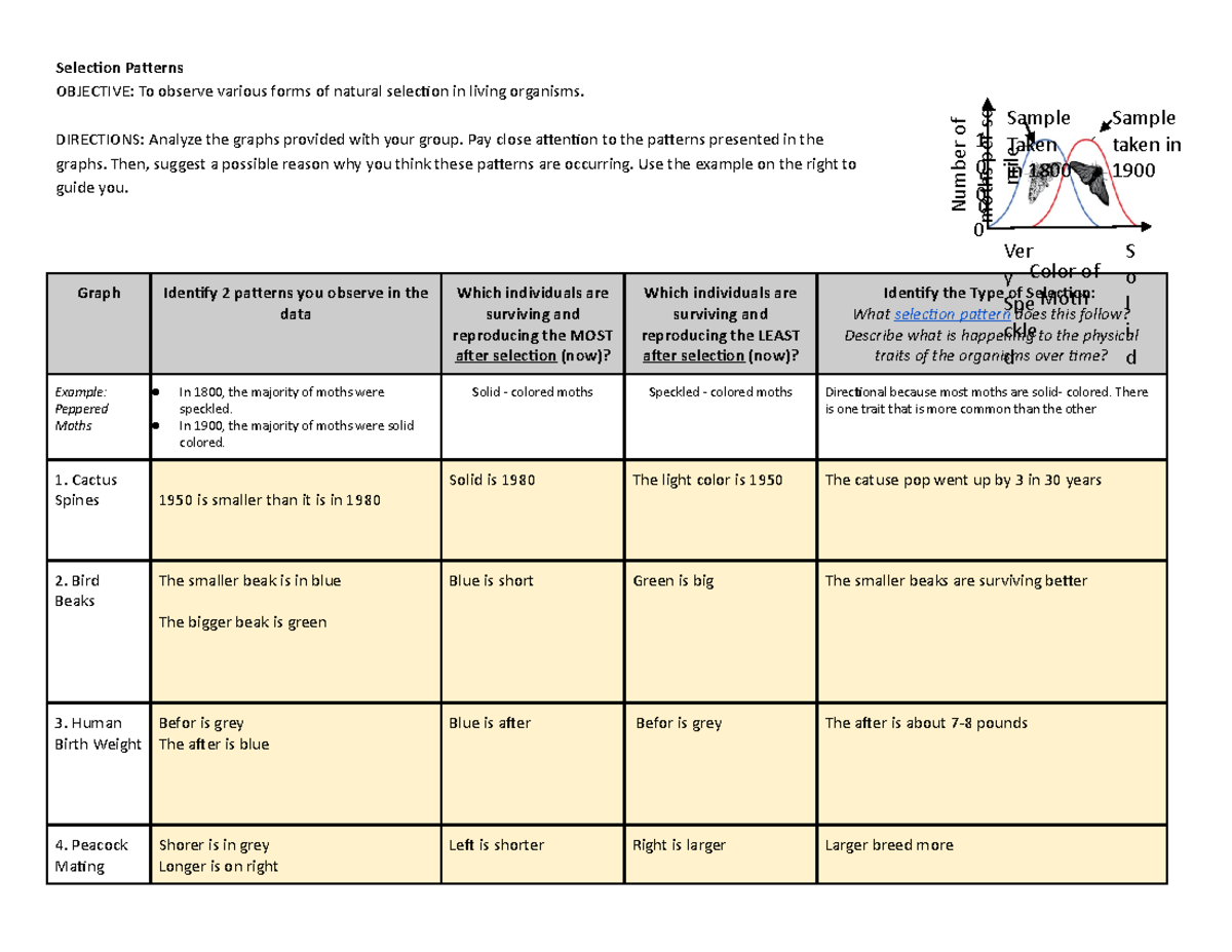 Selection Patterns (1) - Selection Patterns OBJECTIVE: To observe ...