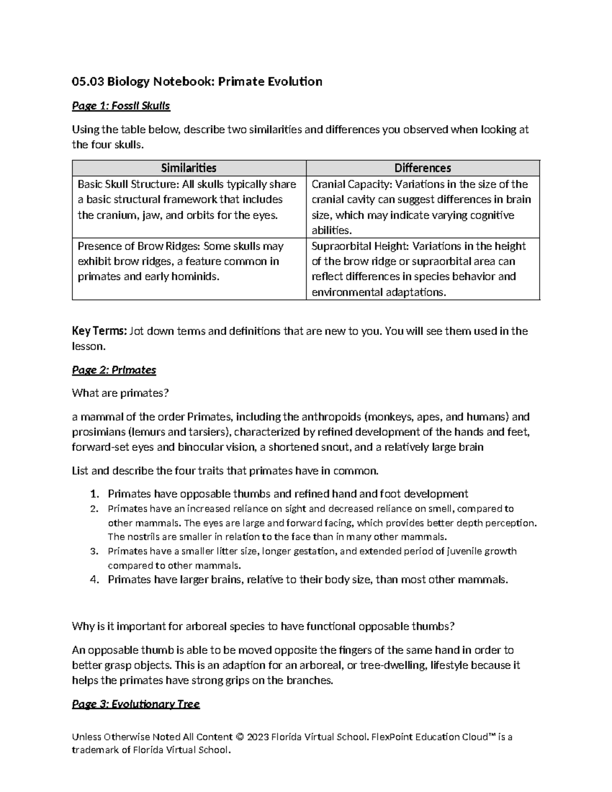 05 03 primate evolution - 05 Biology Notebook: Primate Evolution Page 1 ...