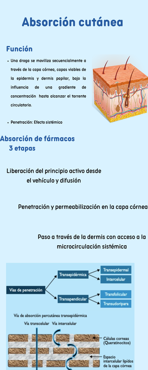 Absorcion percutanea - Asb.cutánea - SOCIEDAD PERUANA DE DERMATOLOGÍA A ...