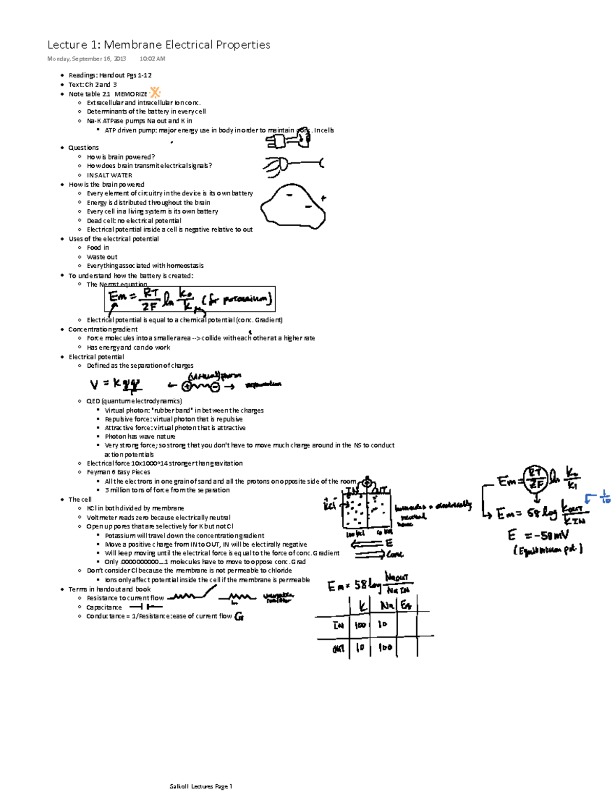 Principles Of The Nervous System Warning Tt Undefined Function 32 Warning Tt Undefined