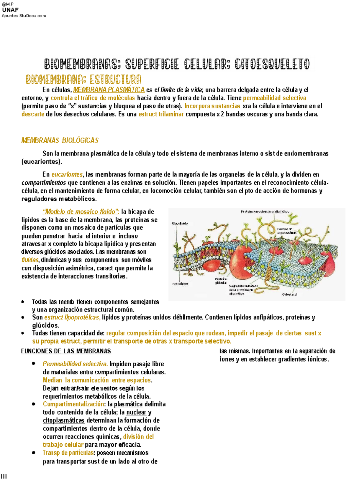 Biomembrana, Superficie Celular y Citoesqueleto - UNAF Apuntes StuDocu ...
