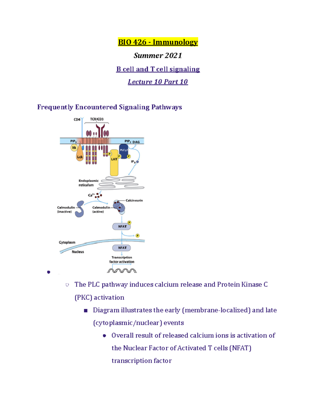 BIO 426 Lecture 10 Part 10 - Summer 2021 - BIO 426 - Studocu