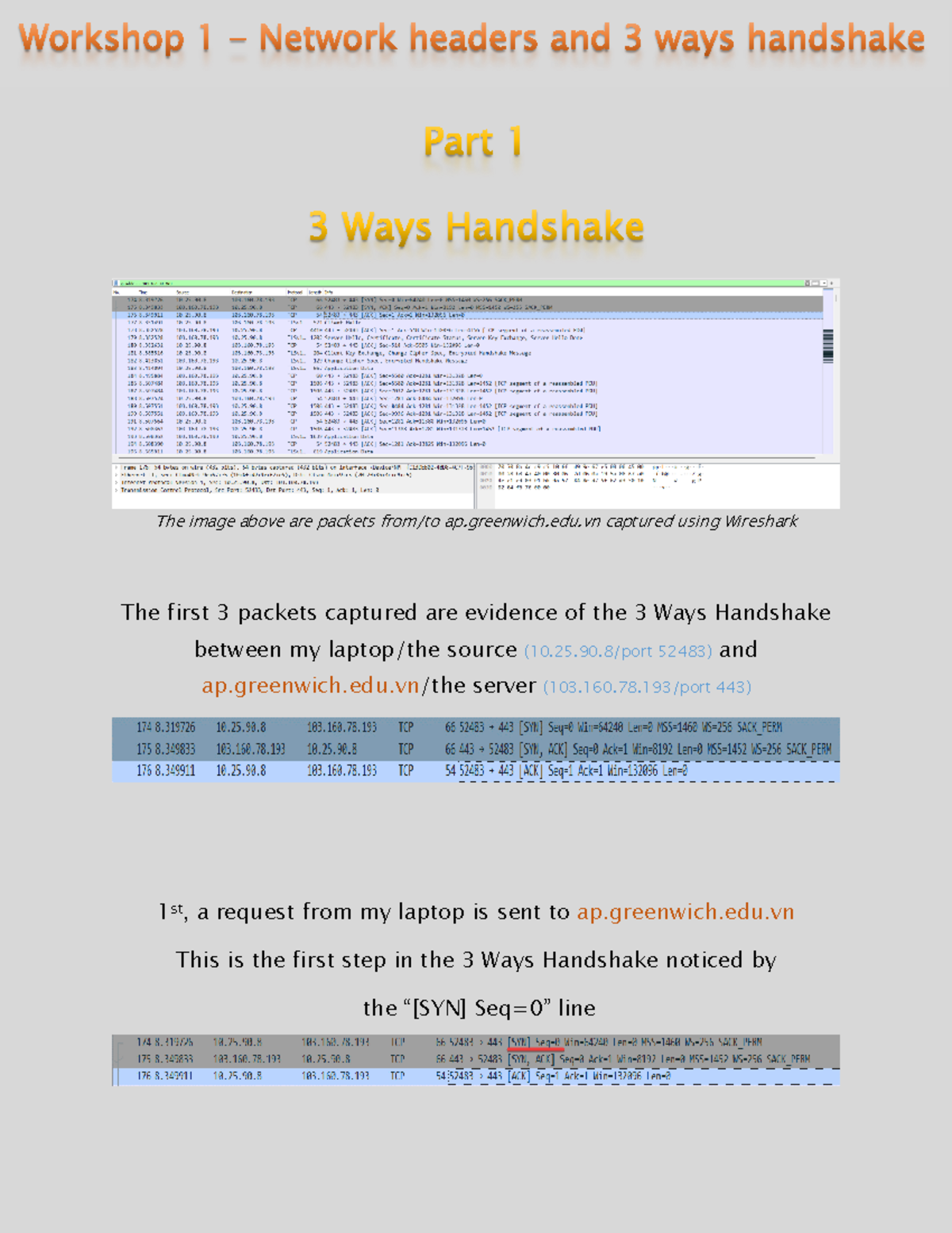 Workshop 1-PHBHoan GCD 22015 5-GCD3111 - The image above are packets ...