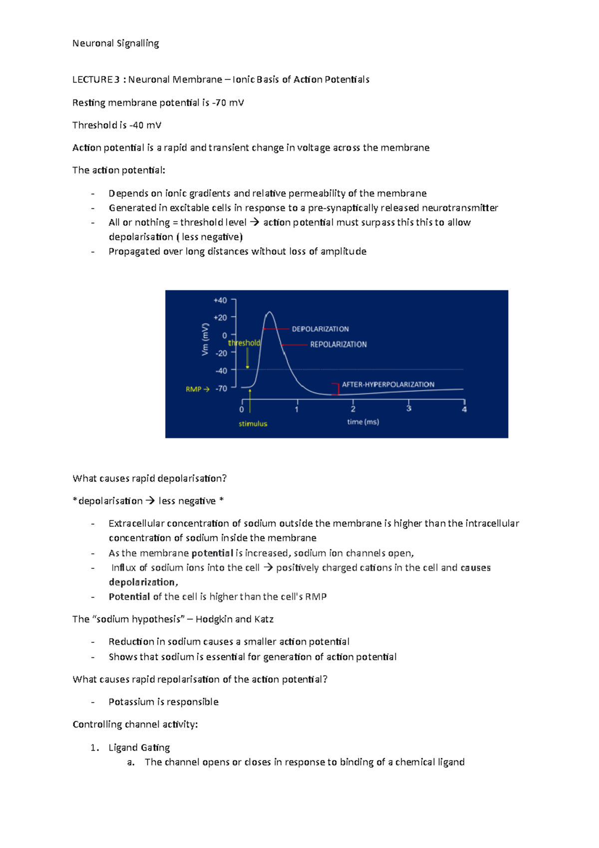 Ionic Basis of Action Potentials - LECTURE 3 : Neuronal Membrane – Ionic Basis of Action ...