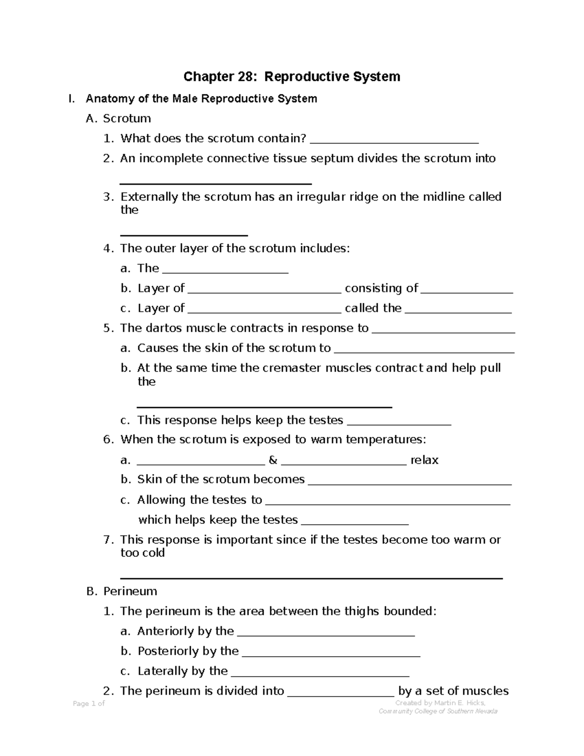 Anaphy 19 Reproductive System - Page 1 of Created by Martin E. Hicks, Chapter 28: Reproductive ...