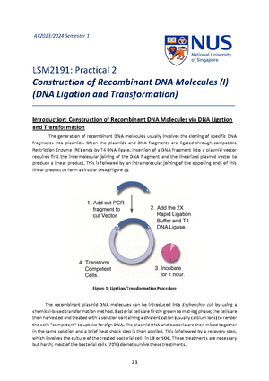 LSM2105 Harshini - Summary Molecular genetics - PART I (WJL) Lecture 01 - Chromosome ...