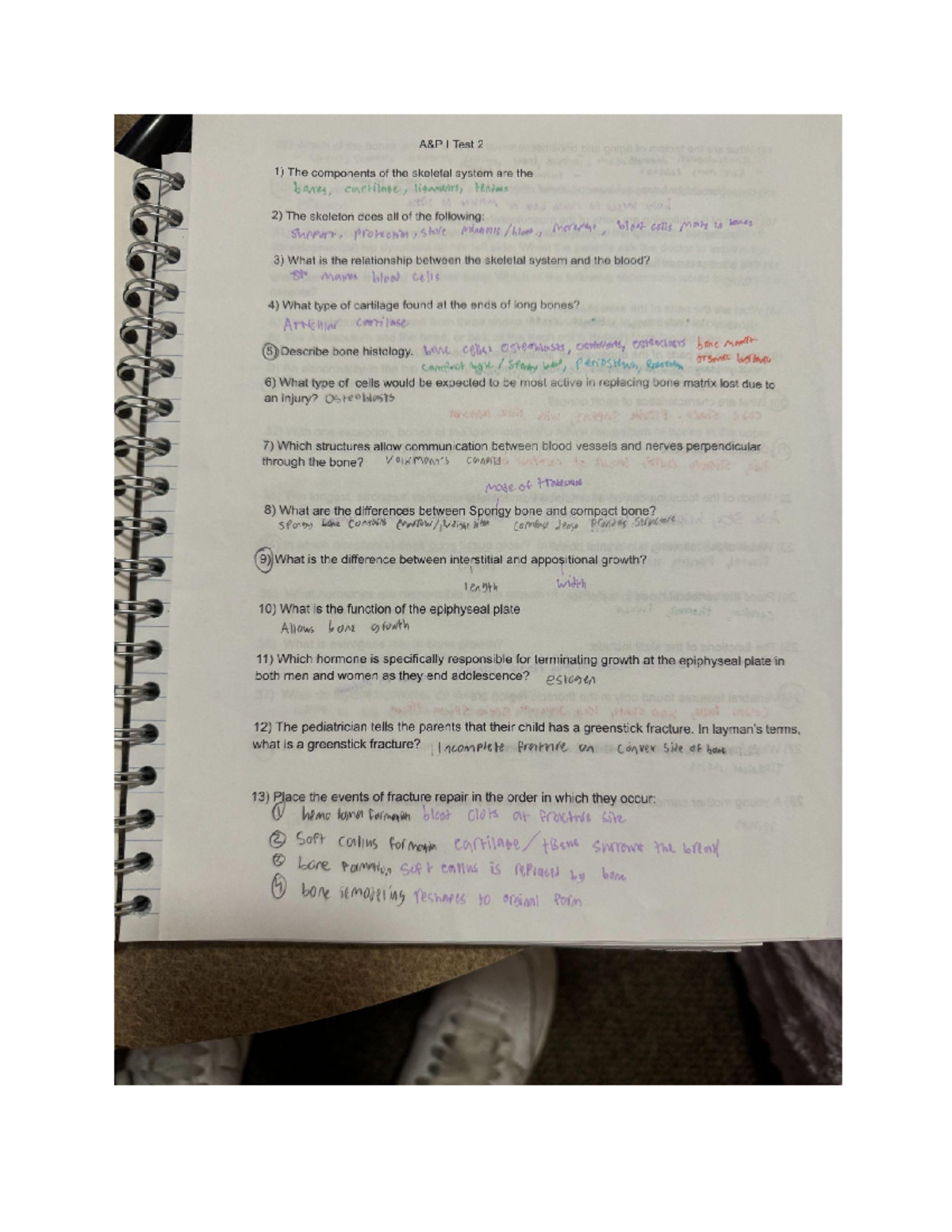 Untitled document - lecture notes and study guide - I Test 2 1) The ...