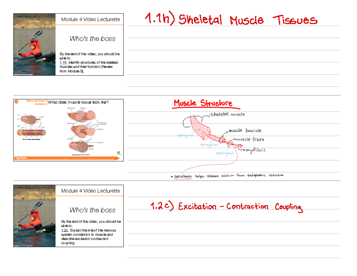 Module 4 Video Lecs - Module 4 Video Lecturette Who’s the boss By the end of this video, you ...