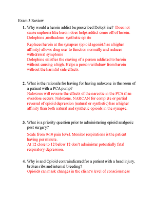 Edith Jacobson Vsim guided questions - Edith Jacobson - Guided ...