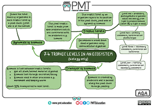 Mind Map 1 - mind map - 1 .2 CELL DIVISION Cell Cycle Chromosomes ...