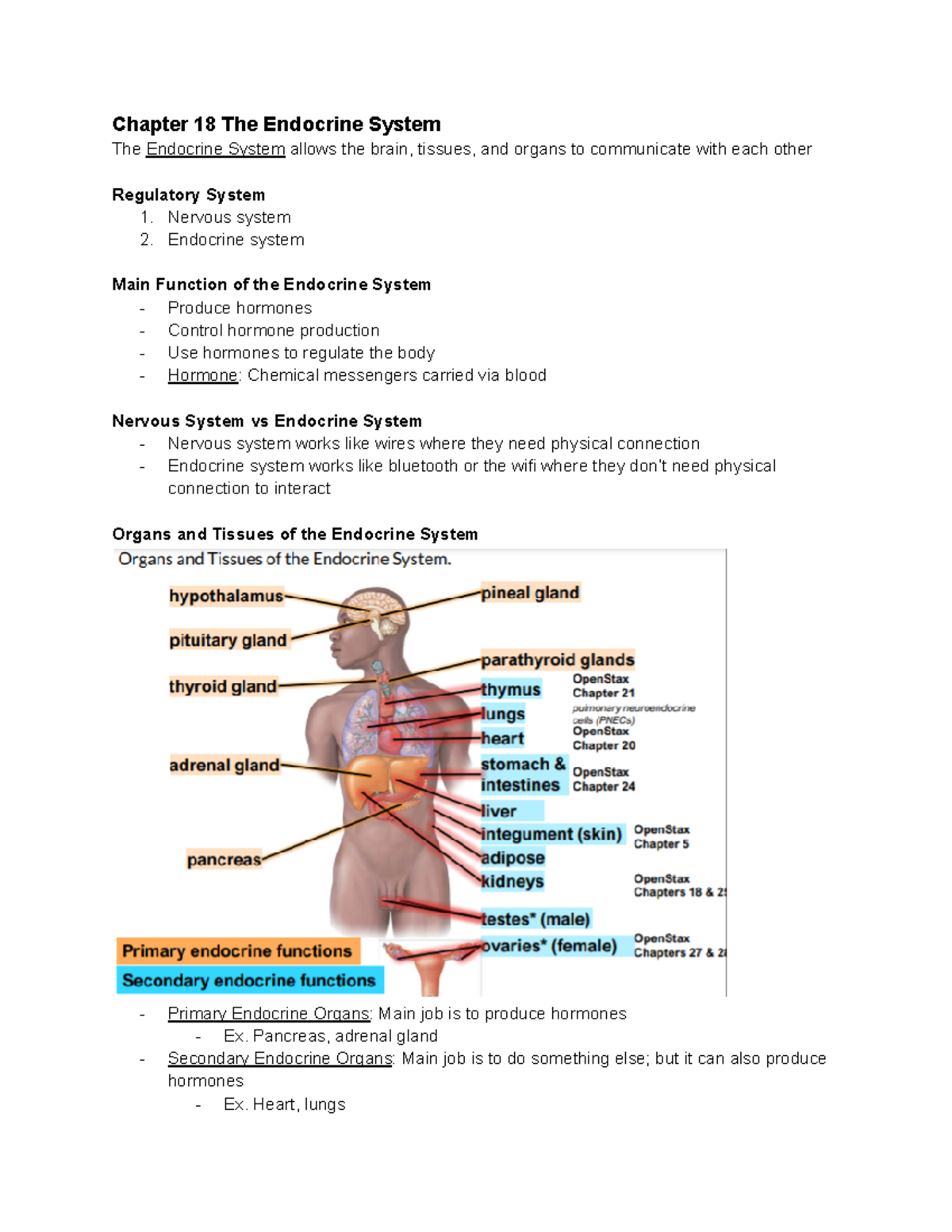 PHYL 142 Notes Unit 1 - Unit 1 - Chapter 18 The Endocrine System The ...