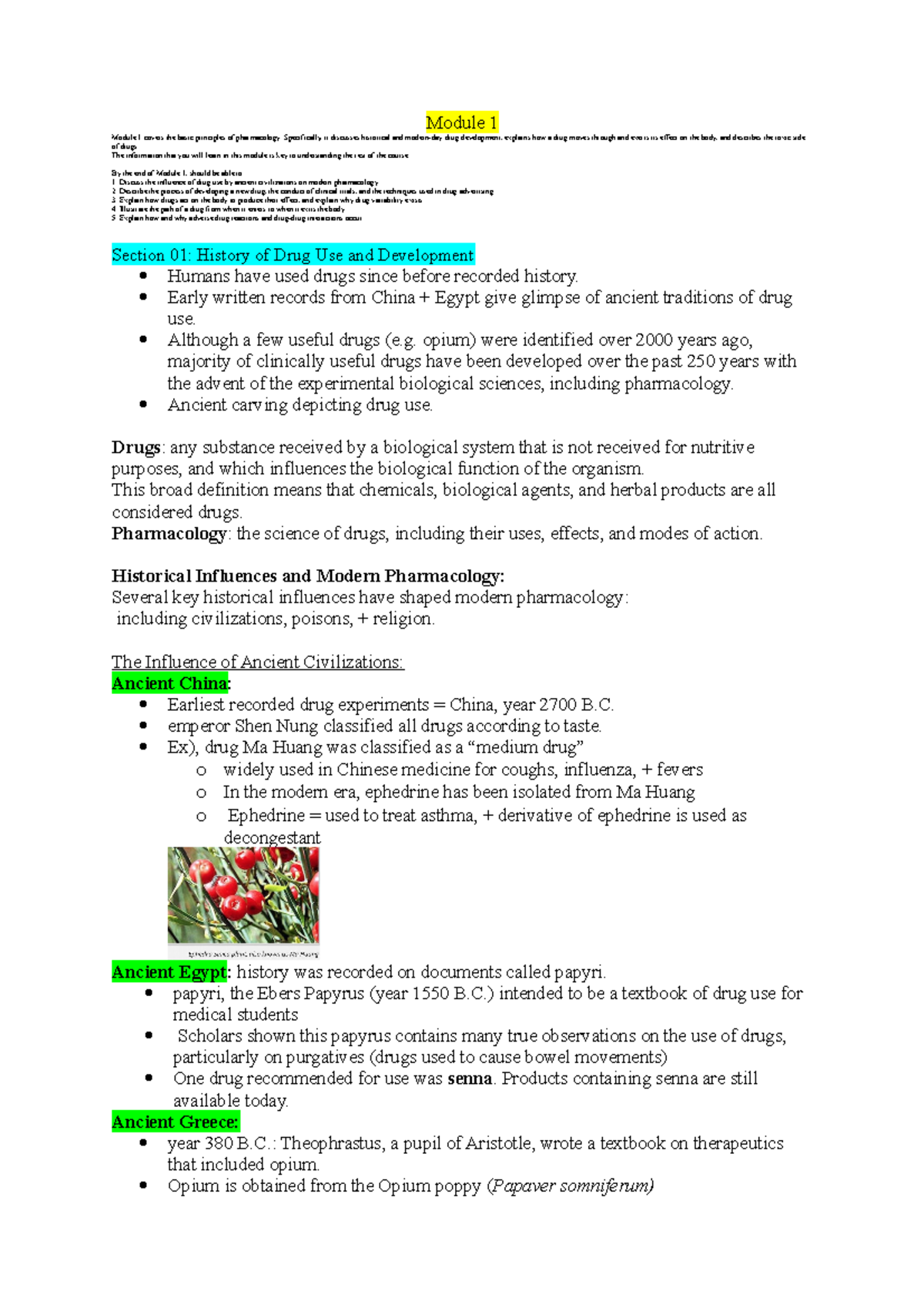 Module 1 - Module 1 Module 1 covers the basic principles of ...