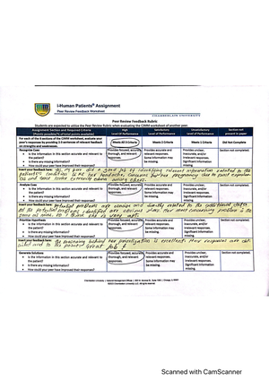 Plan of care assignment for mental health nursing at chamberlain ...