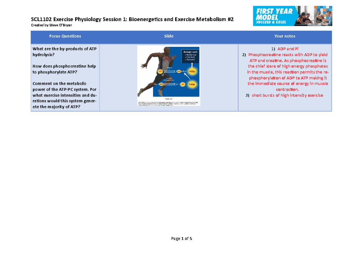 Guided notes Bioenergetics and Exercise Metabolism #2 ( Student COPY ...