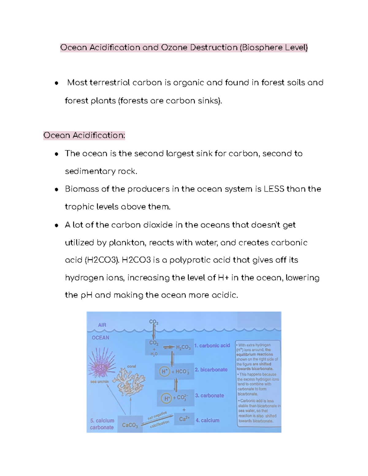 Ocean Acidificaton - This document contains lecture notes from the ...
