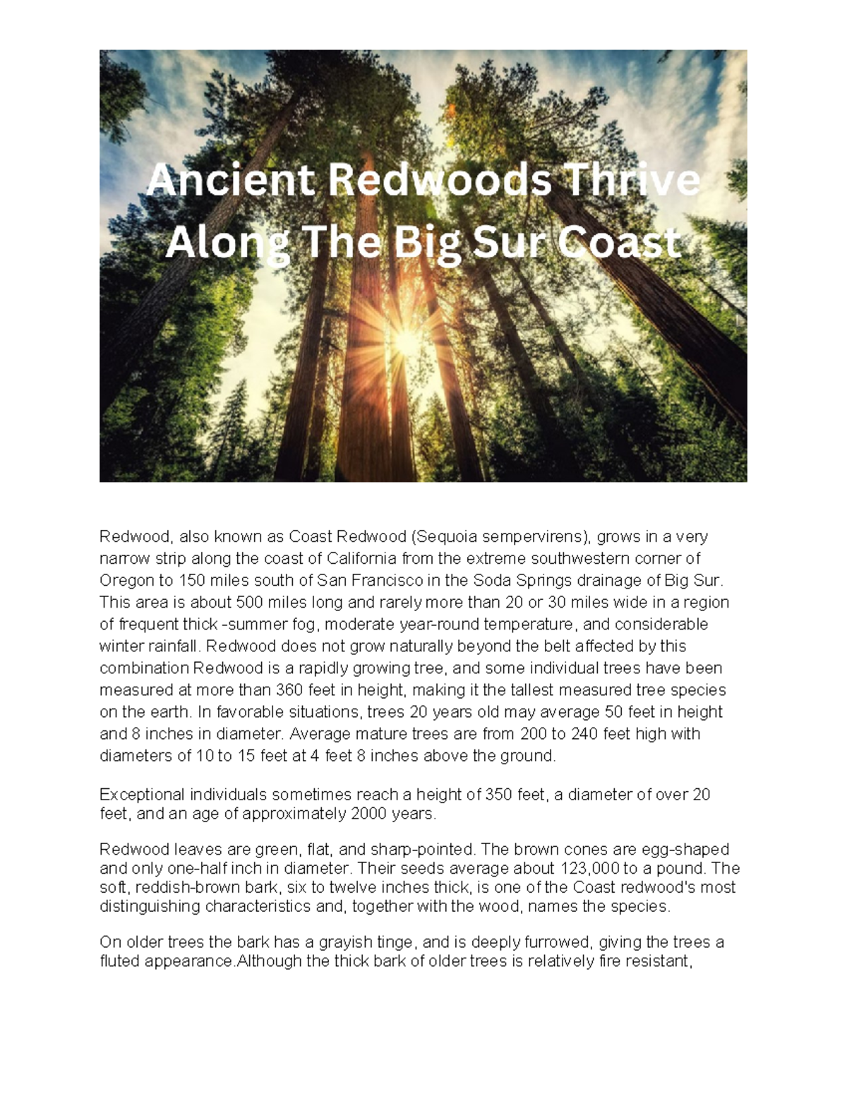 CISA 305 final test part of a document - Redwood, also known as Coast ...