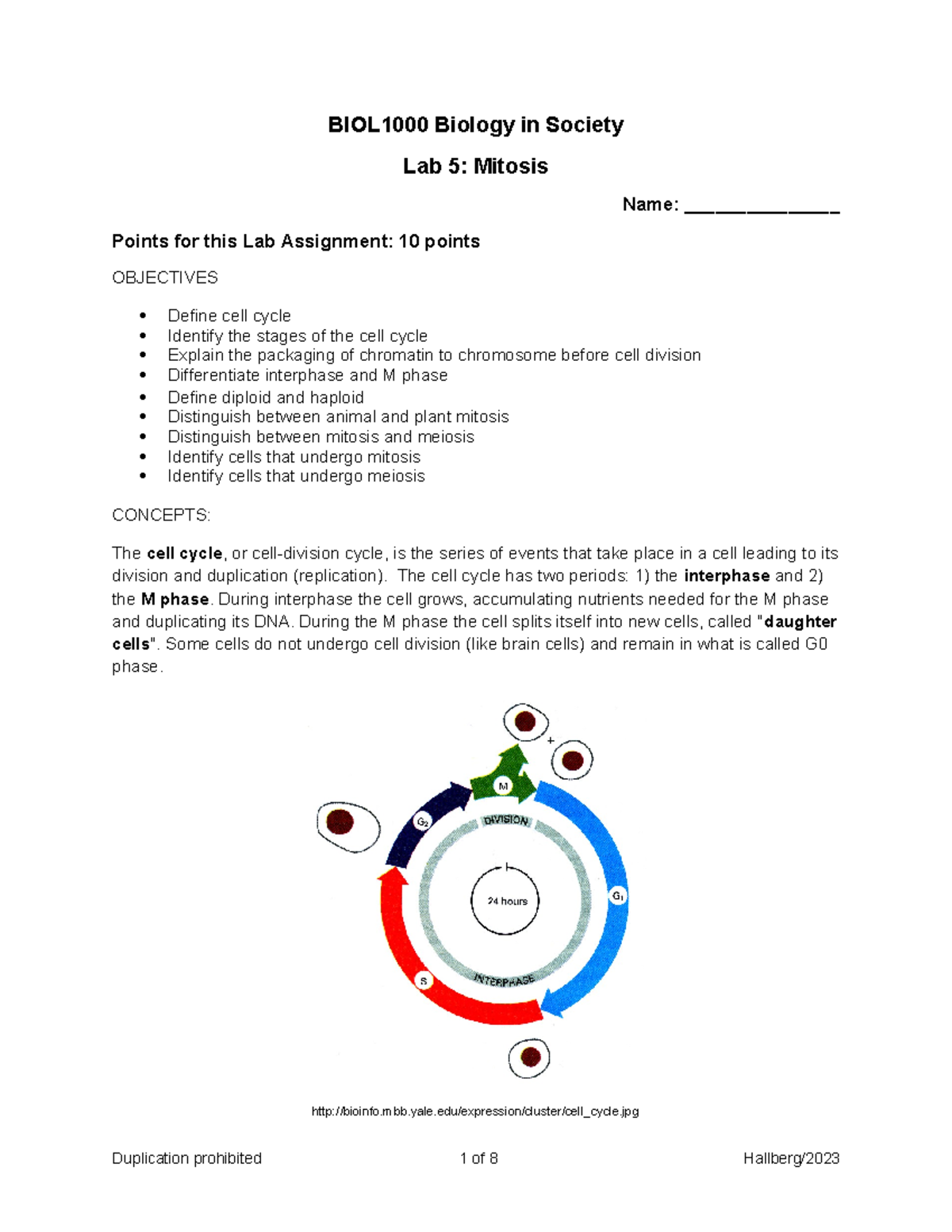 Lab 6 Mitosis 2023 - BIOL1000 Biology in Society Lab 5: Mitosis Name ...