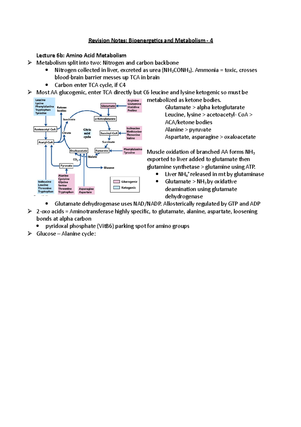 MIMs - Michaelmas - Revision - Bioenergetics and Metabolism - 4 ...