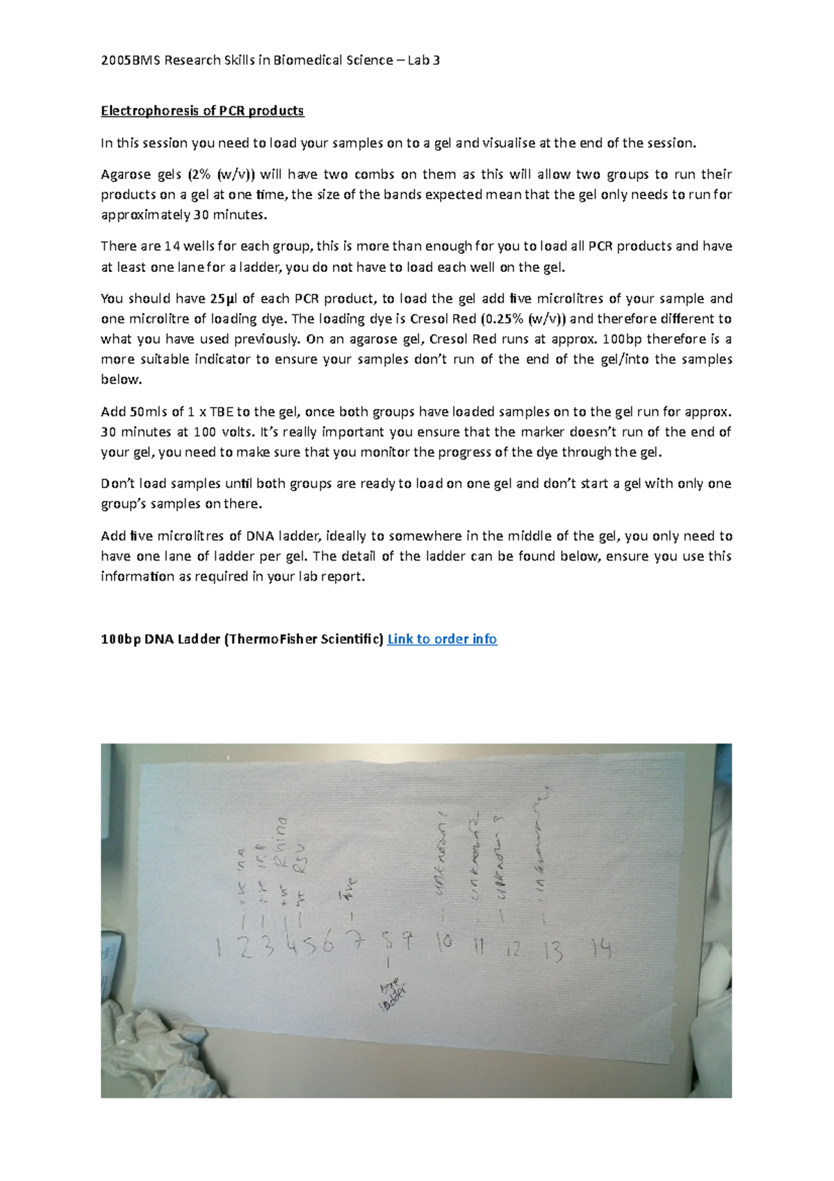 2005 BMS Lab 3 Protocol - 2005BMS Research Skills in Biomedical Science – Lab 3 Electrophoresis ...