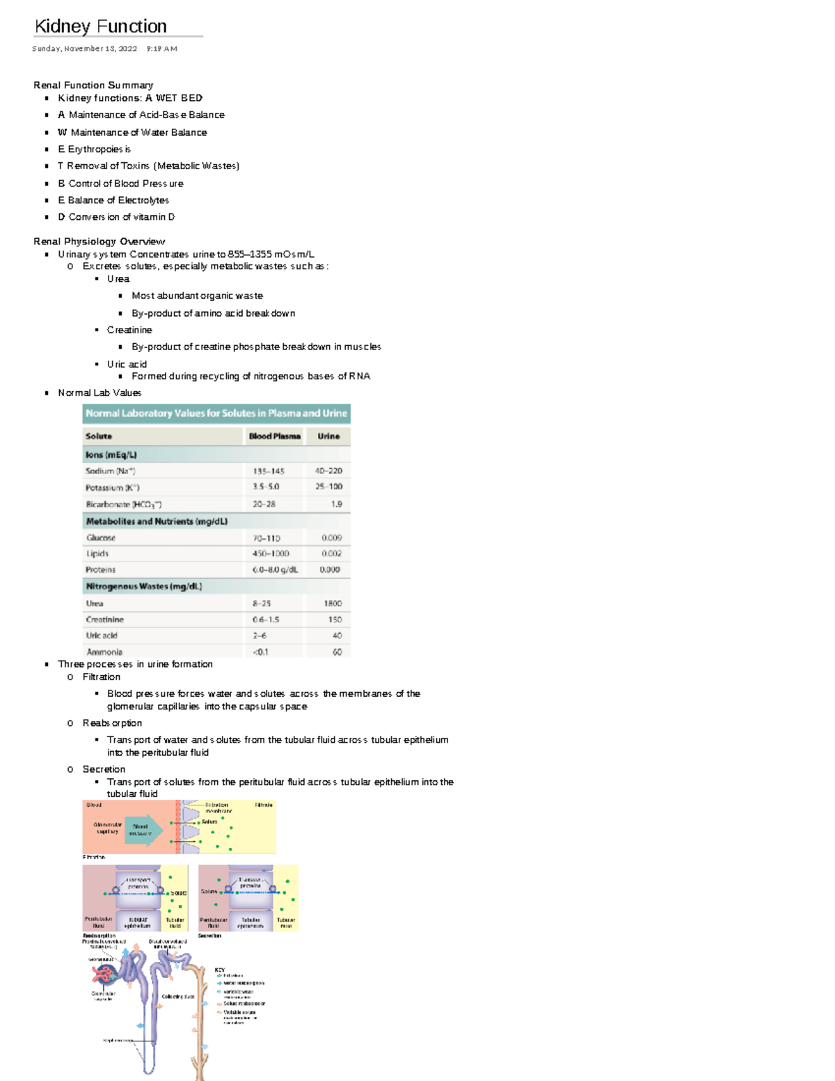 Urinary System II - Kidney Function Sunday, November 13, 2022 9:19 AM ...