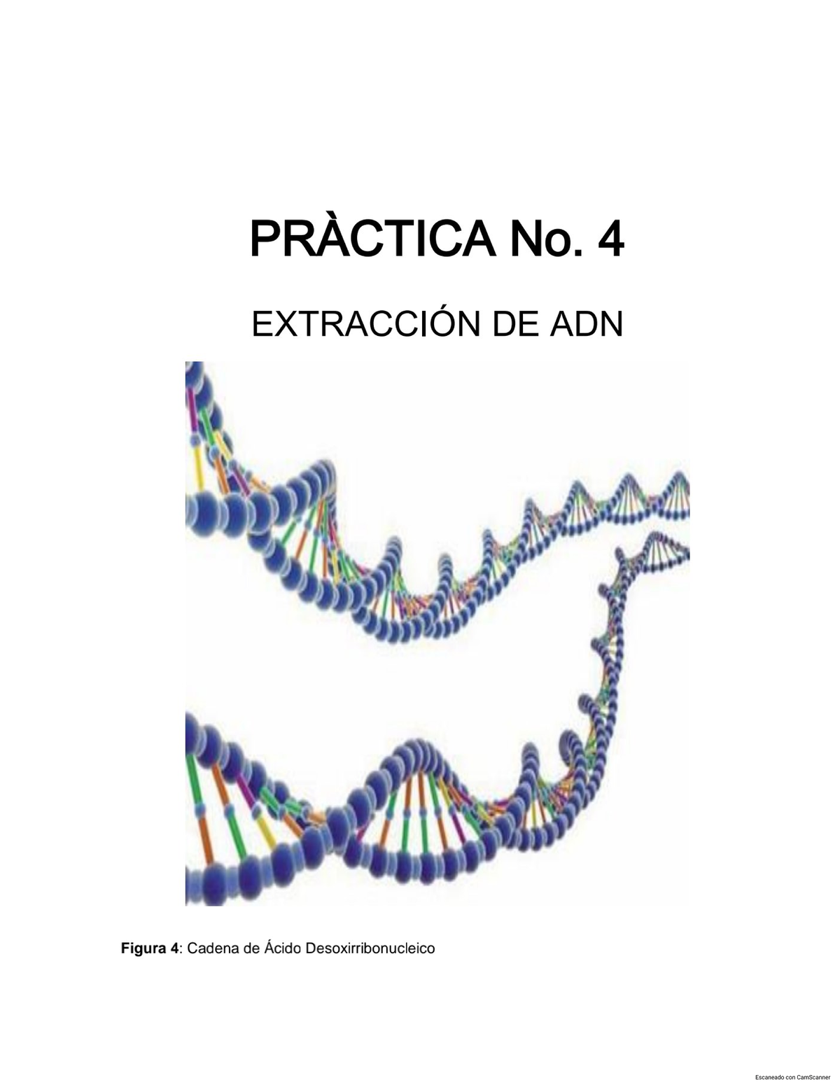 Practica No. 4 BIO-BAS - laboratorio - Bioquímica - Studocu