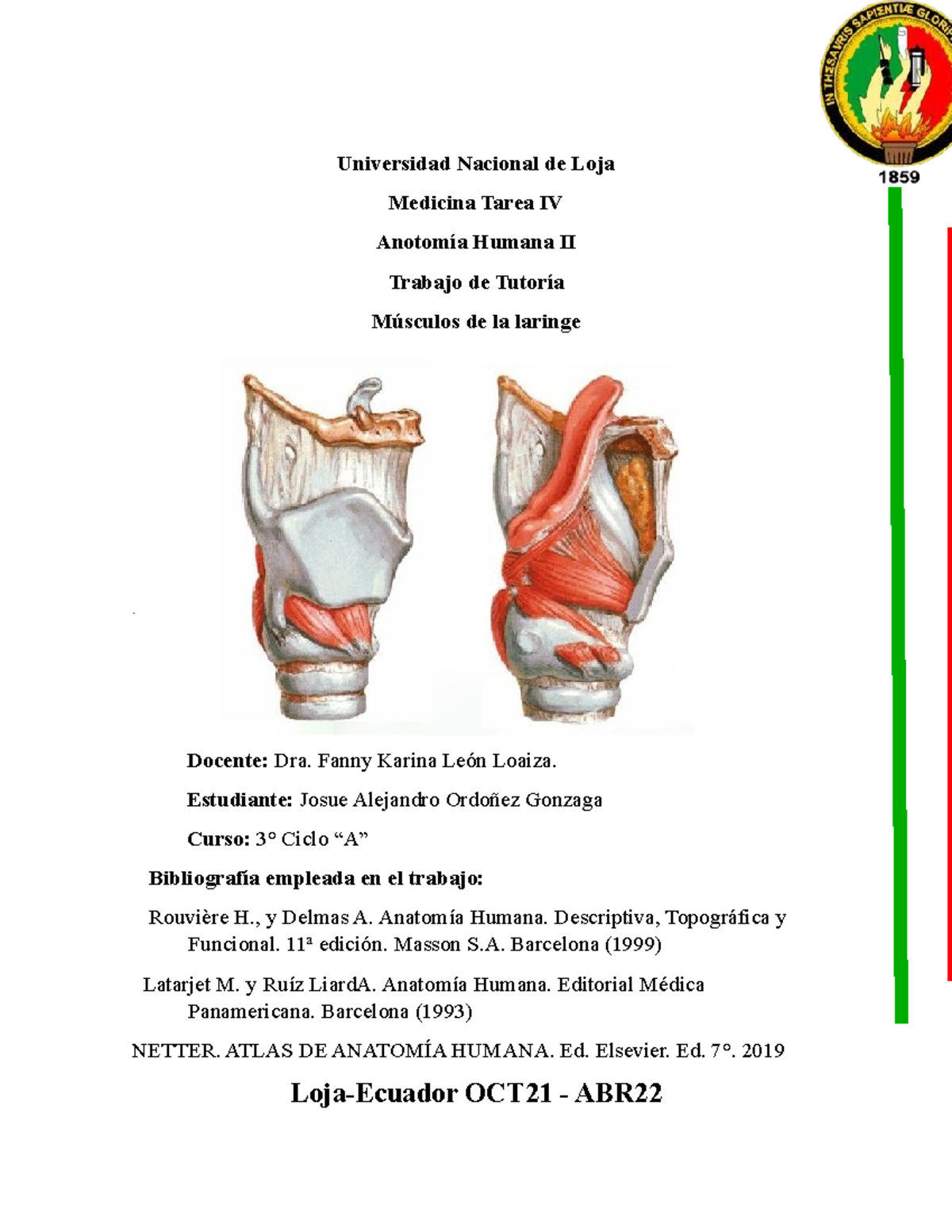 Músculos de la laringe - estudio - Universidad Nacional de Loja ...