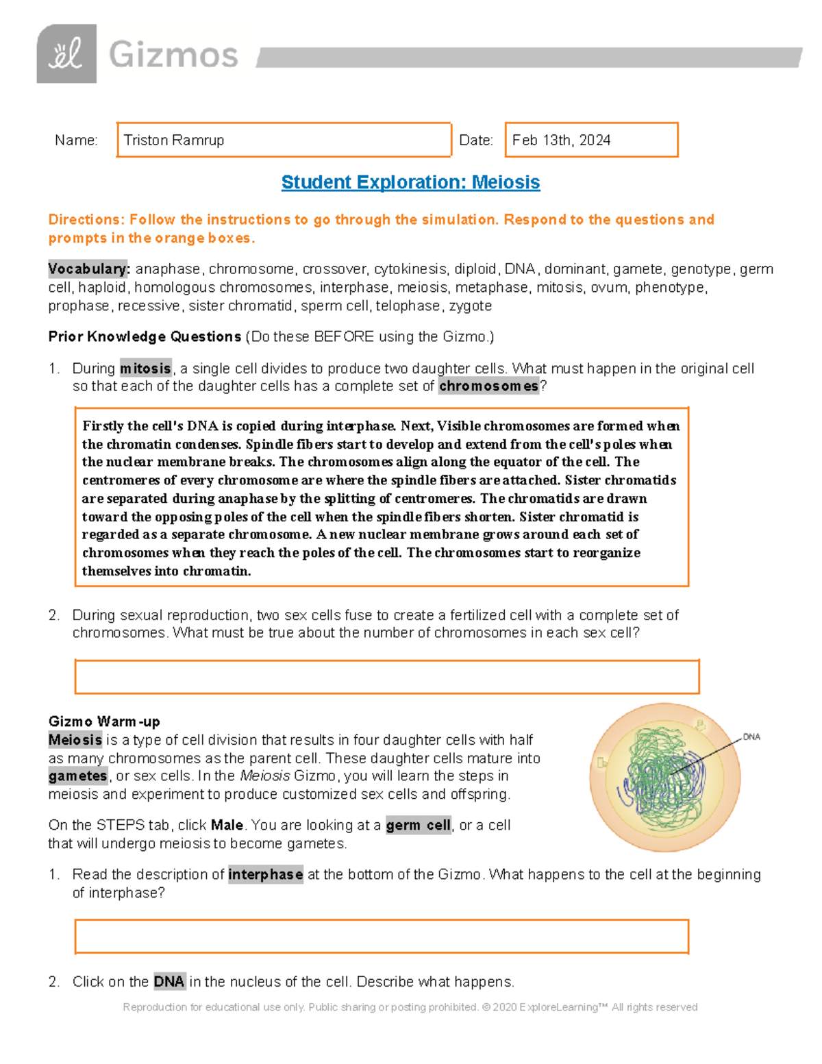 TR - 11MO 734534 Chinguacousy SS - Meiosis Gizmo - Name: Triston Ramrup ...
