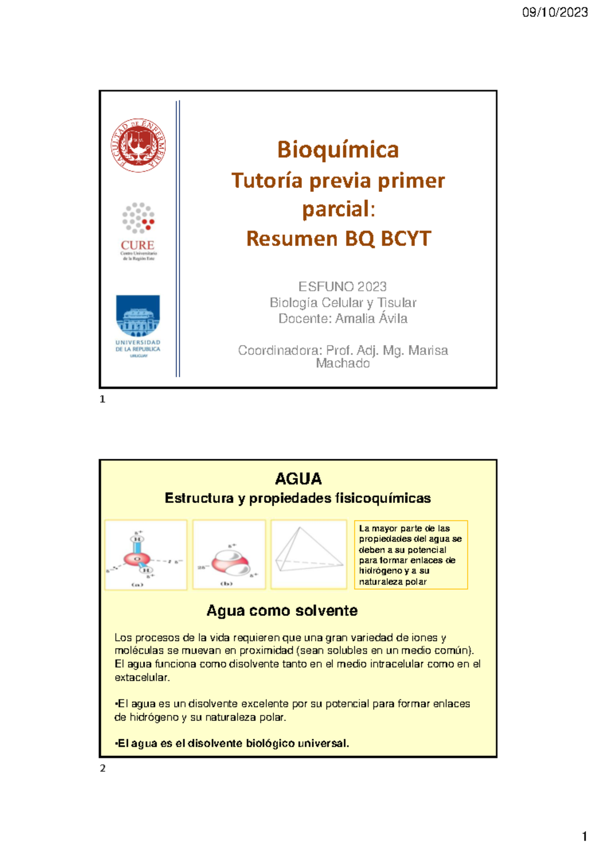 Resumen BQ 2023 Rocha - hodfvfv - ESFUNO 2023 Biología Celular y Tisular Docente: Amalia Ávila ...