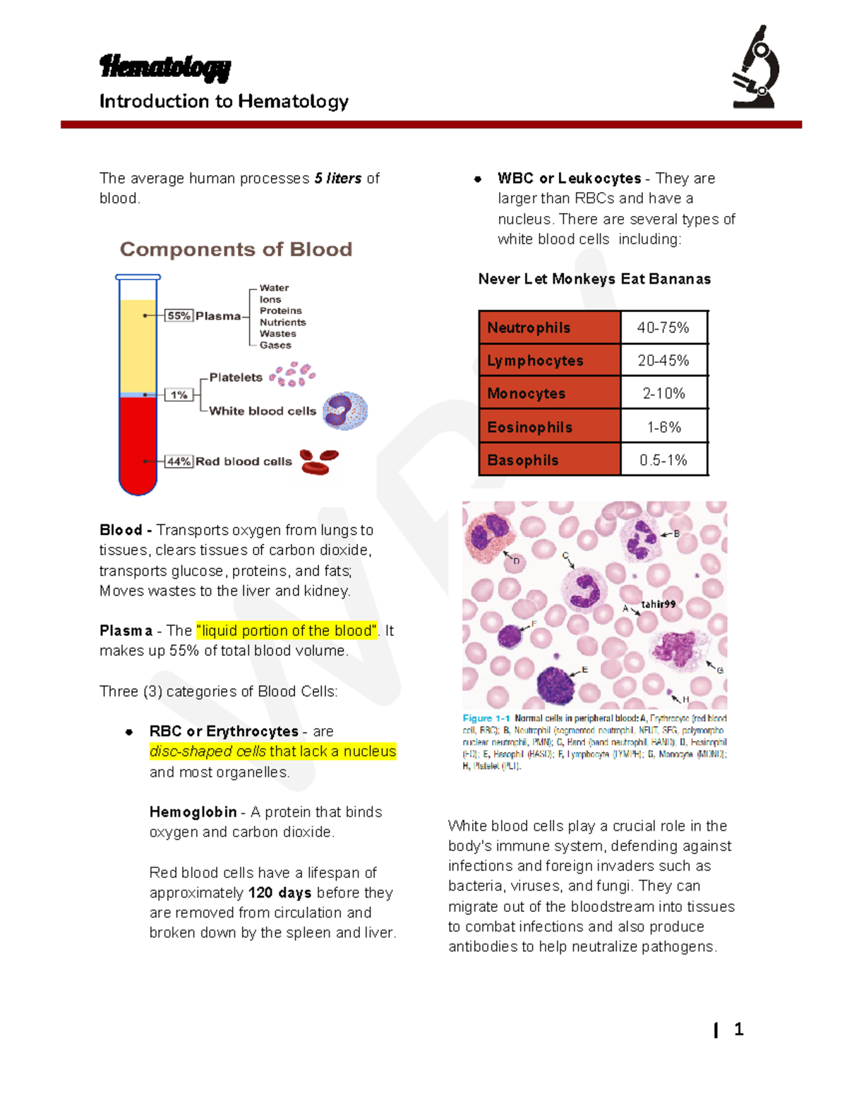 Introduction to Hematology - WPV Introduction to Hematology The average ...