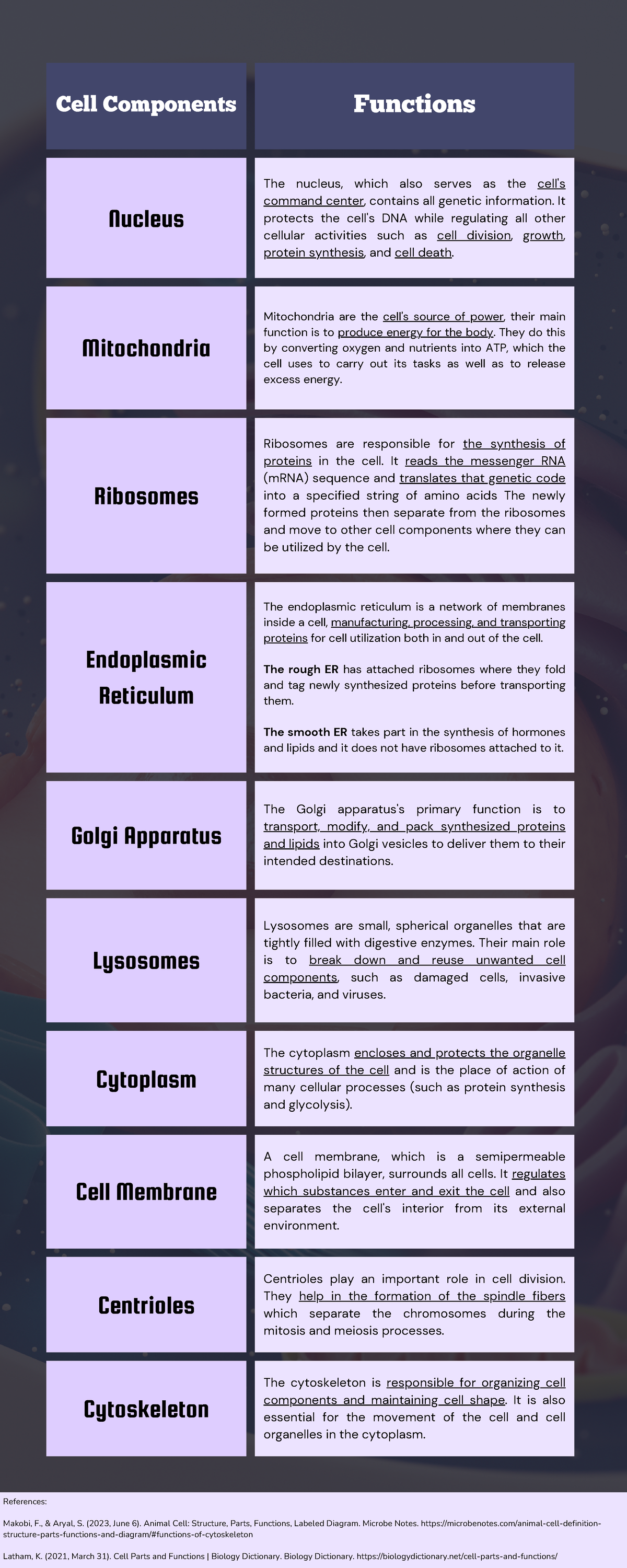 M2 Lesson 1 - Cells - Cell Components Functions Nucleus The nucleus, which also serves as the ...