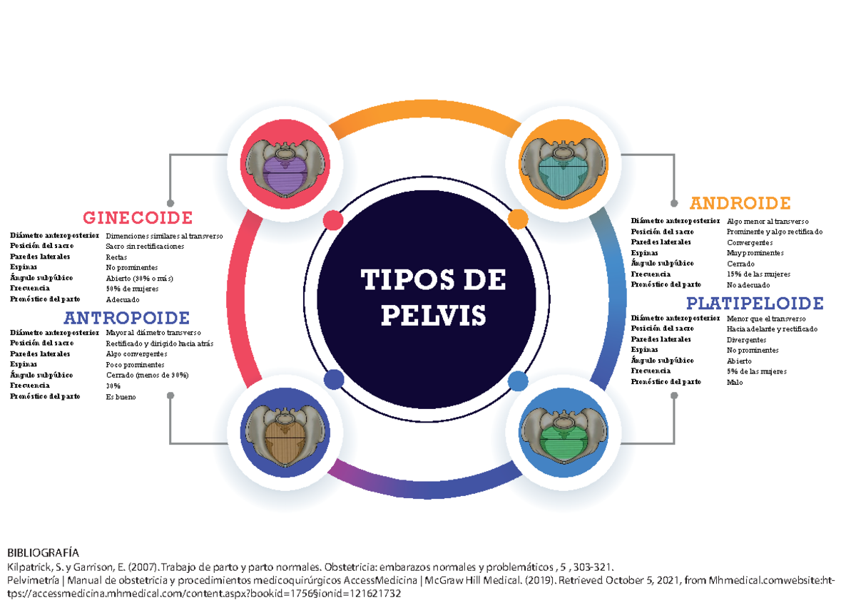 Tipos de pelvis final - TIPOS DE PELVIS GINECOIDE Di·metro ...