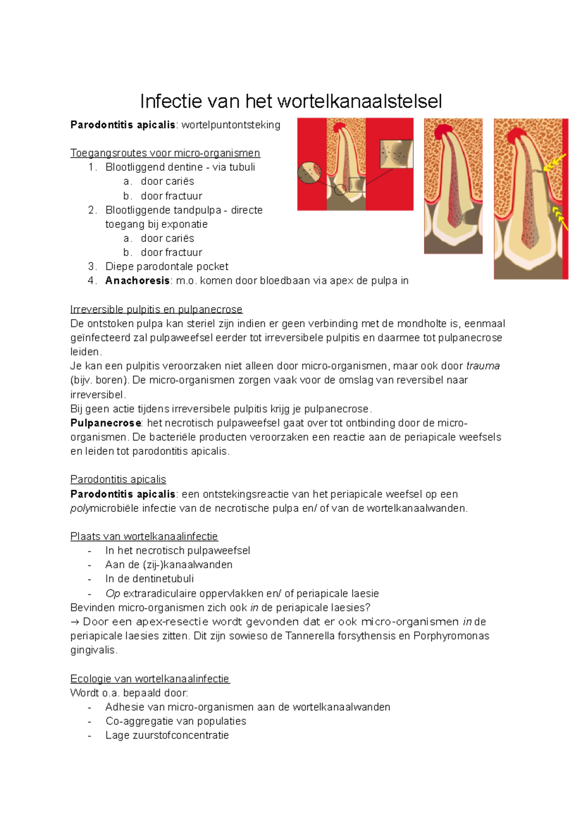 30-10 Microbiologie necrotische pulpa - Infectie van het ...