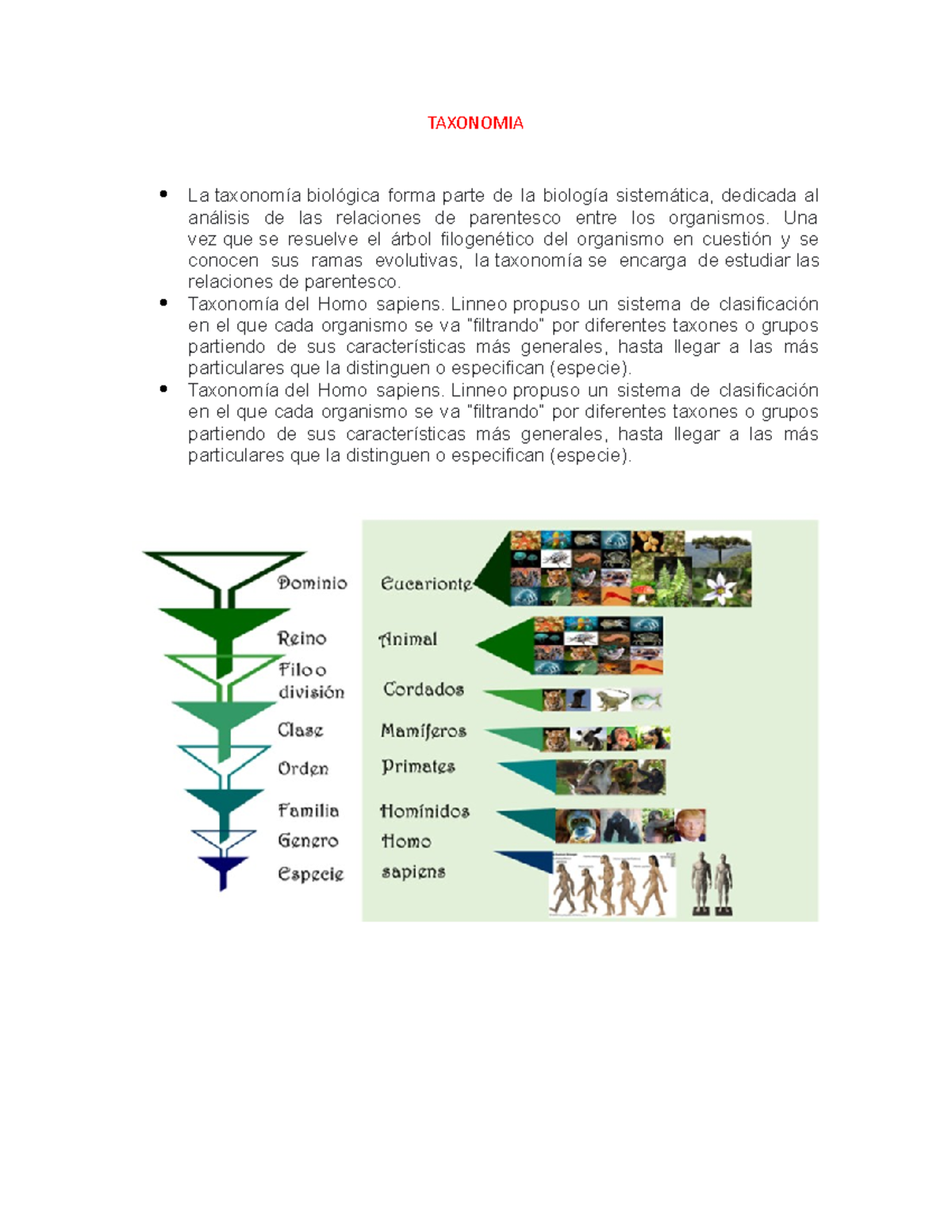 Taxonomia - Toxonomia - TAXONOMIA La taxonomía biológica forma parte de ...