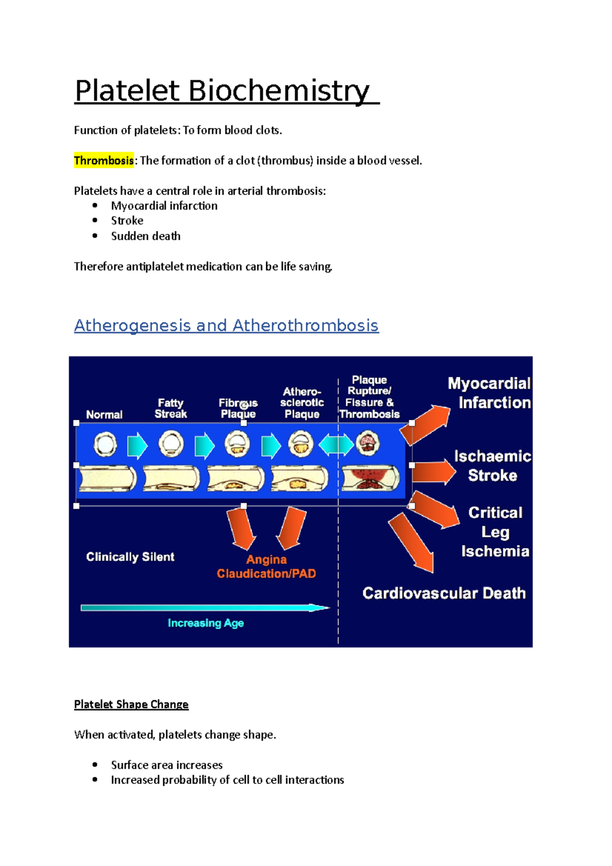 Platelet Biochemistry - Platelet Biochemistry Function of platelets: To ...
