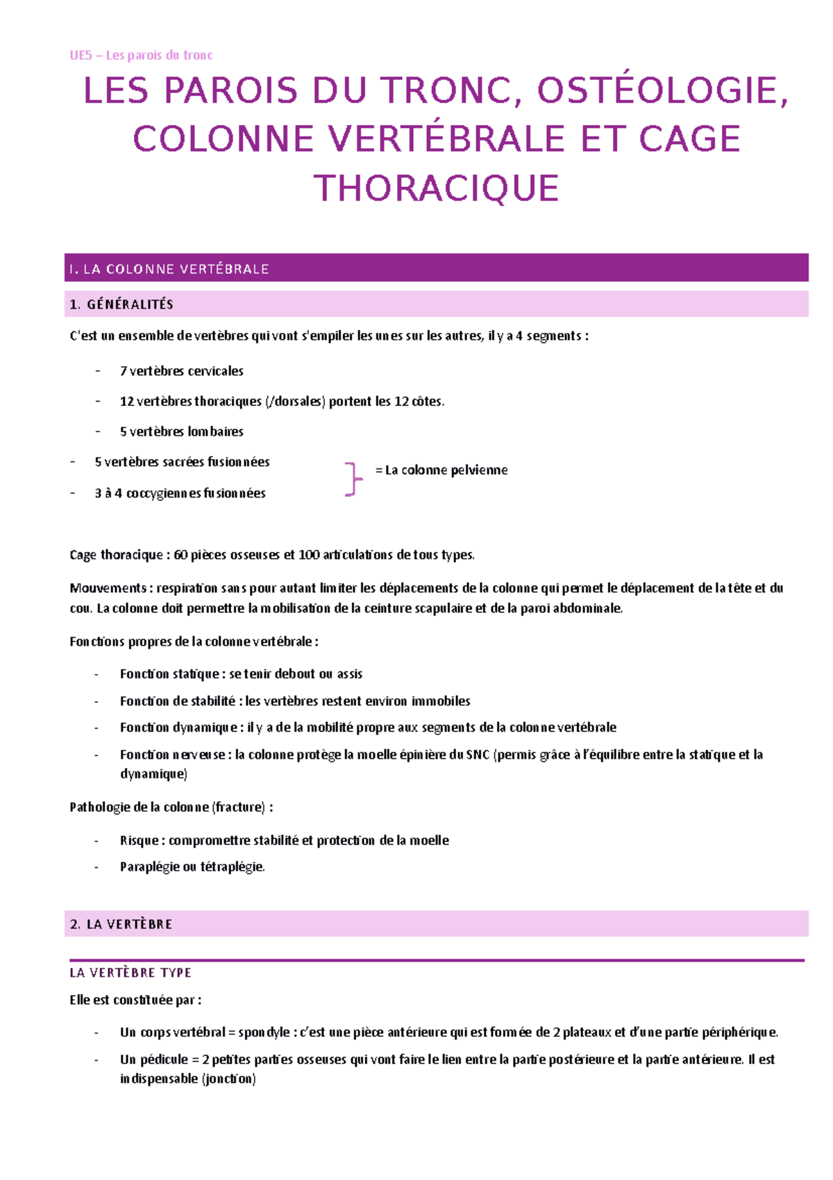 10. Les parois du tronc - Cours du professeur Clavert - LES PAROIS DU ...