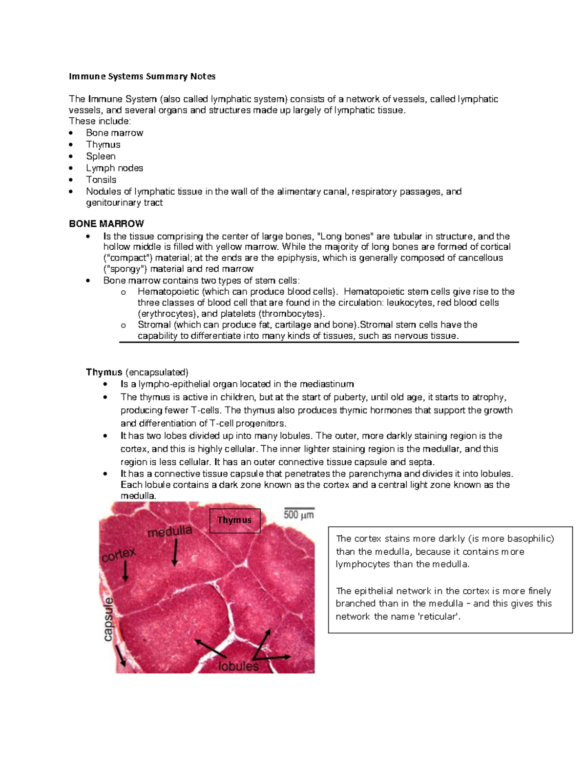 Immune Systems Summary Notes - These include: Bone marrow Thymus Spleen ...
