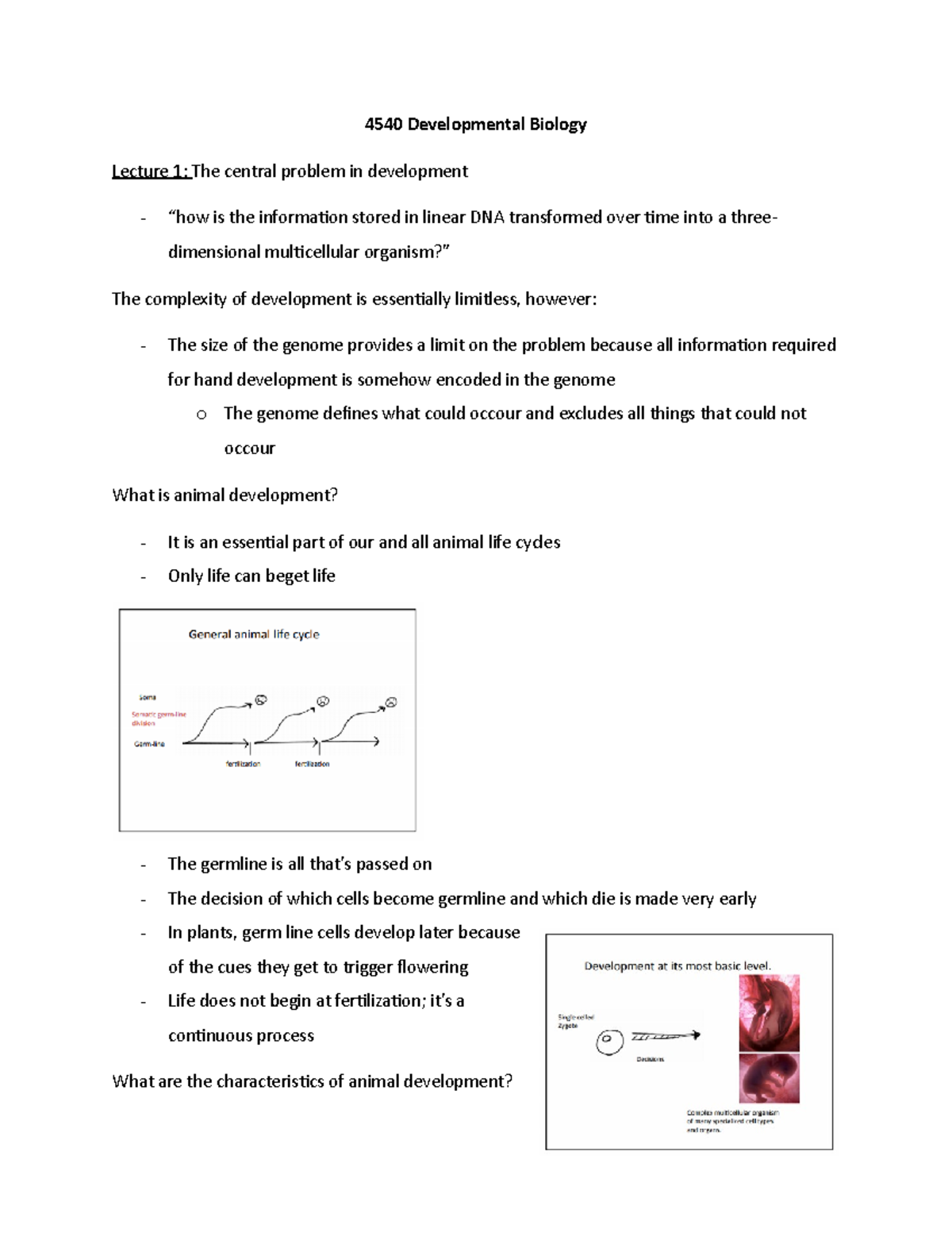 4540 Developmental Biology Final Notes - 4540 Developmental Biology ...