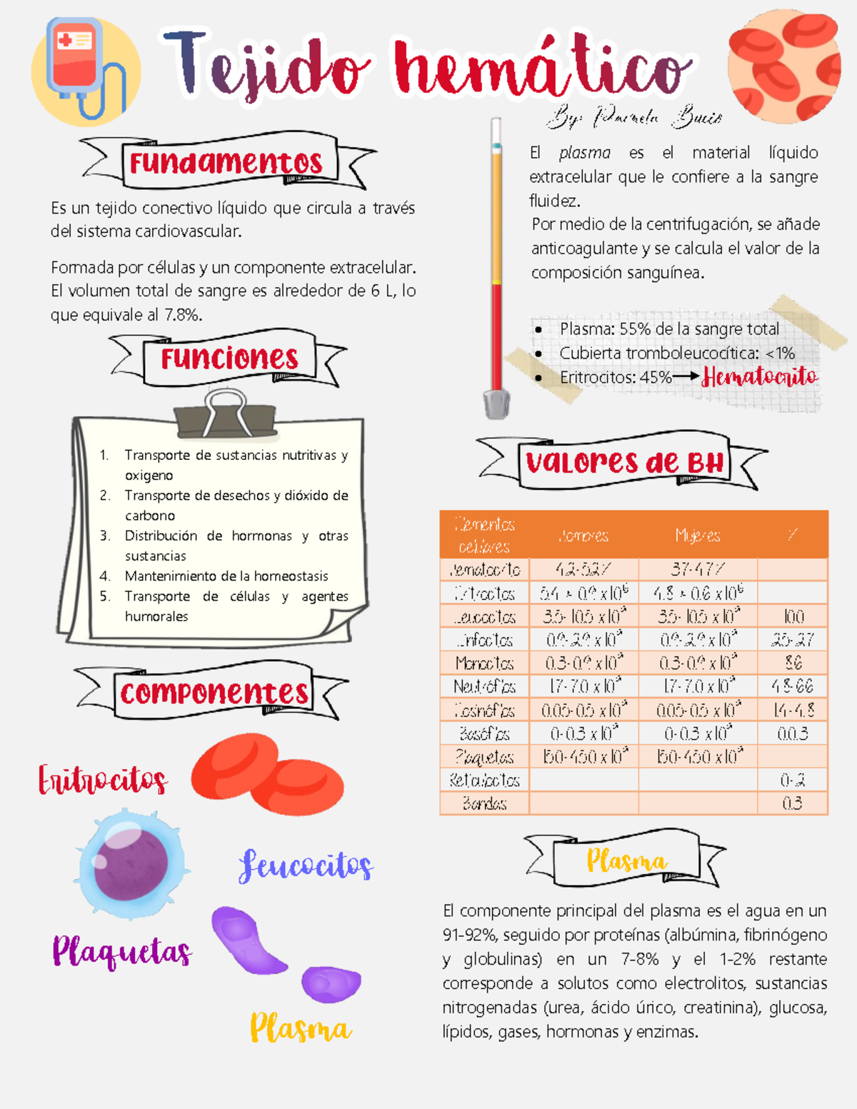 7. Tejido Hemático - Sangre - Es un tejido conectivo líquido que ...