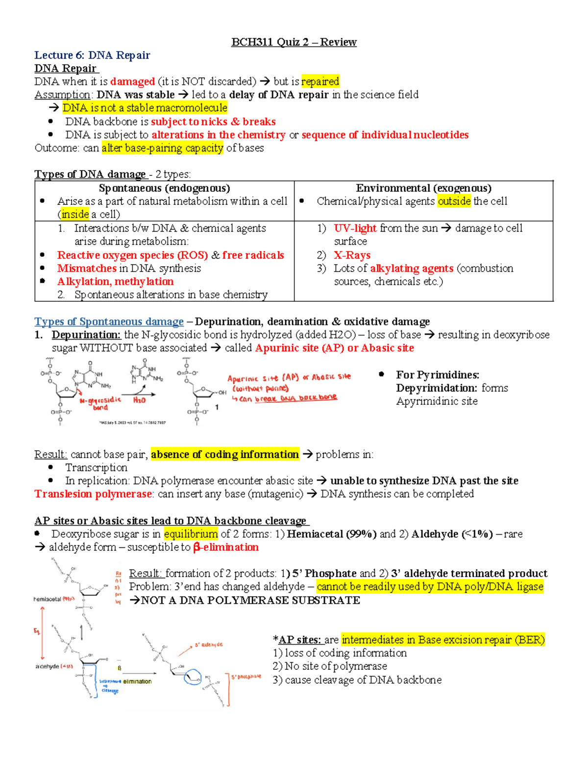 BCH311 Quiz 2 Review (Lectures 6+7) - BCH311 Quiz 2 – Review Lecture 6: DNA Repair DNA Repair ...