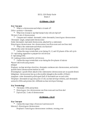 Human Biology Exam 4 Study Guide - BIOL 1200 Study Guide Exam 4 (1) Respiratory System – Ch 10 ...